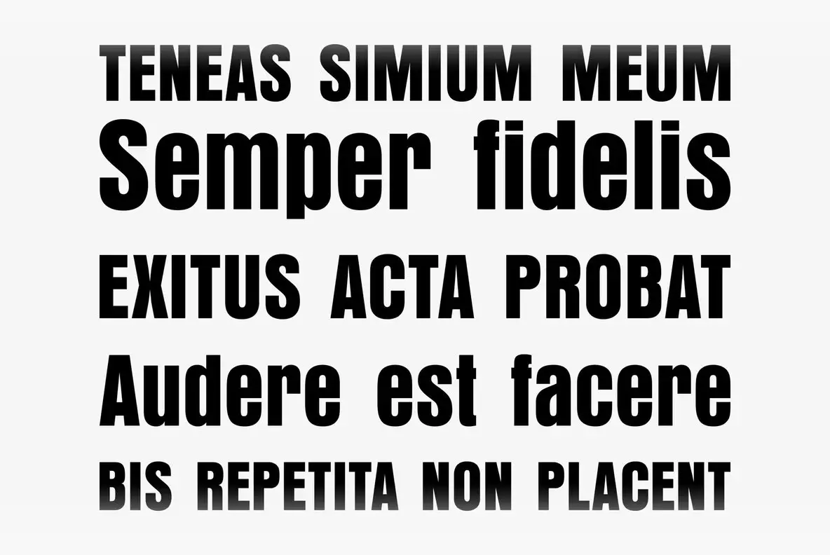 Anzeigen Grotesk Font - YouWorkForThem