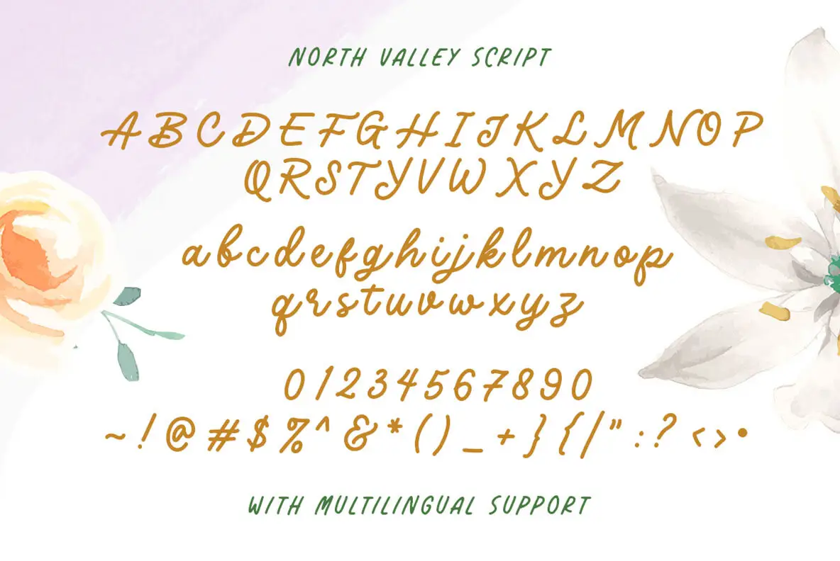 North Valley Font - YouWorkForThem