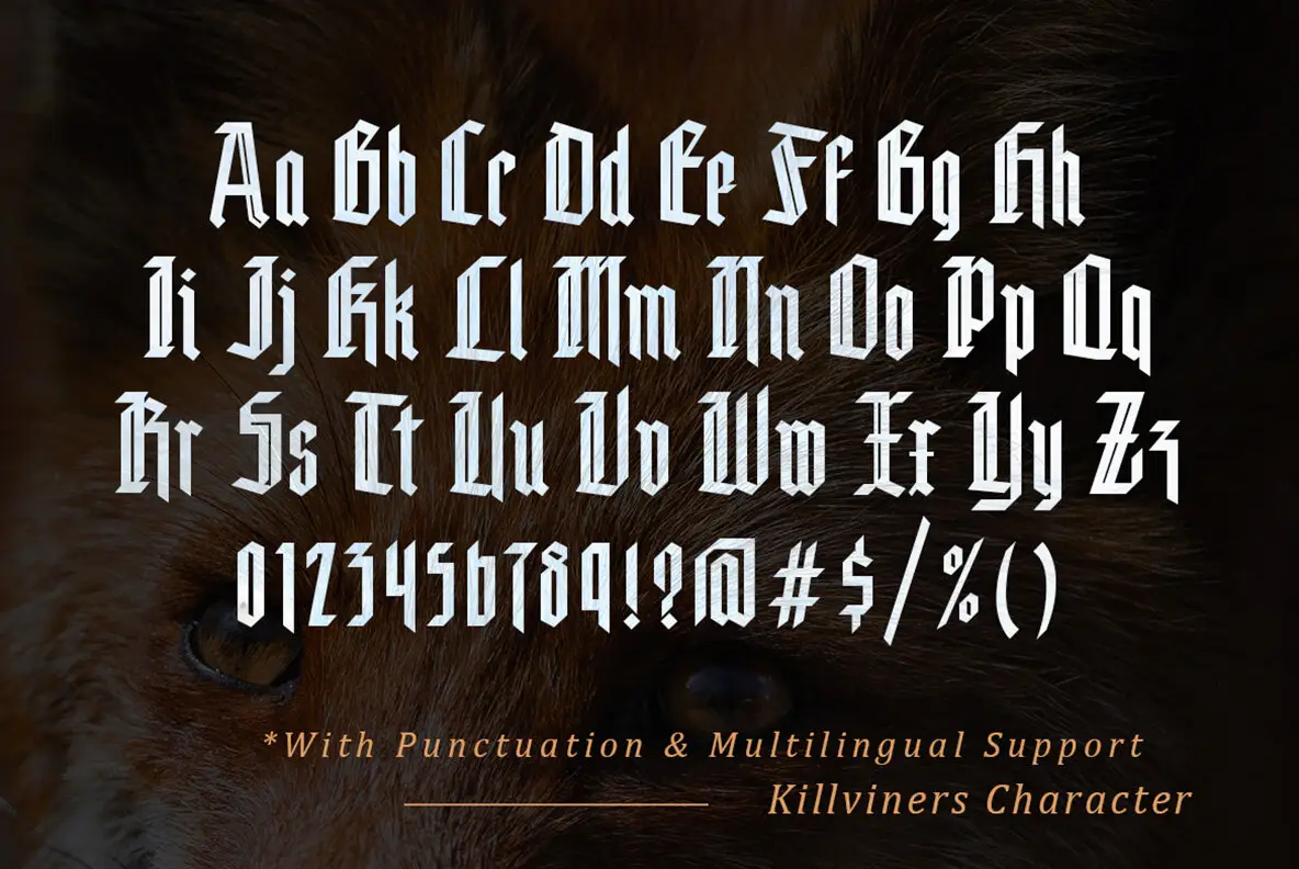 Killviners Font - YouWorkForThem