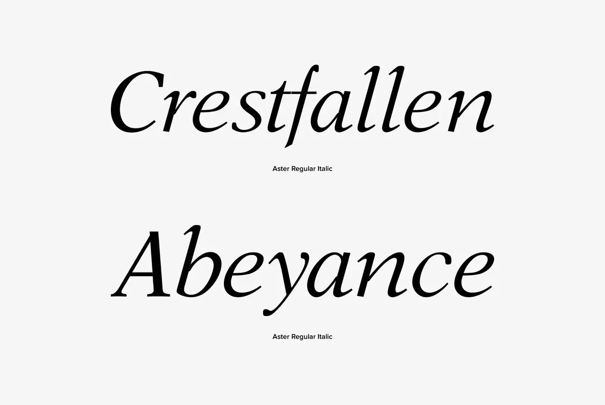 Aster Font - YouWorkForThem