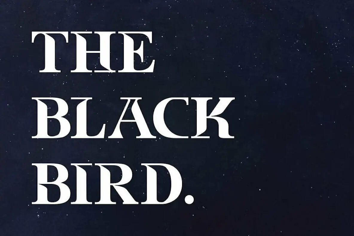 Compact Font - YouWorkForThem