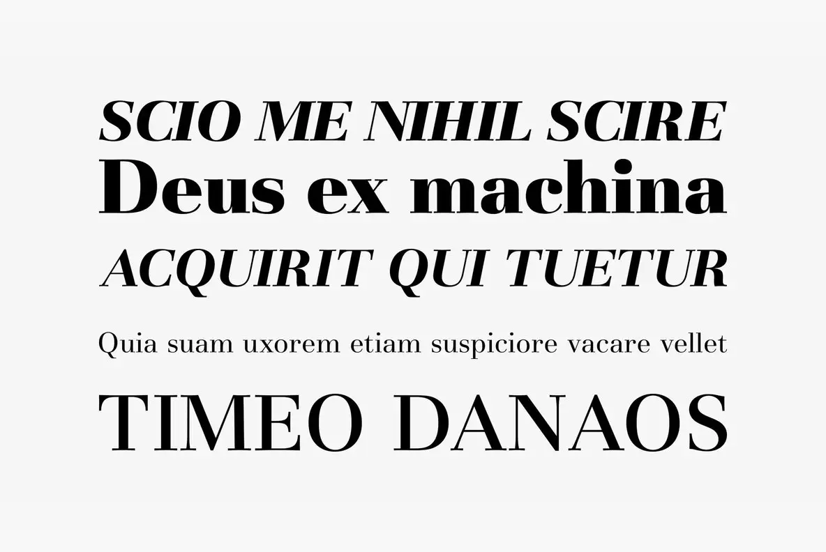 Basilia Font - YouWorkForThem