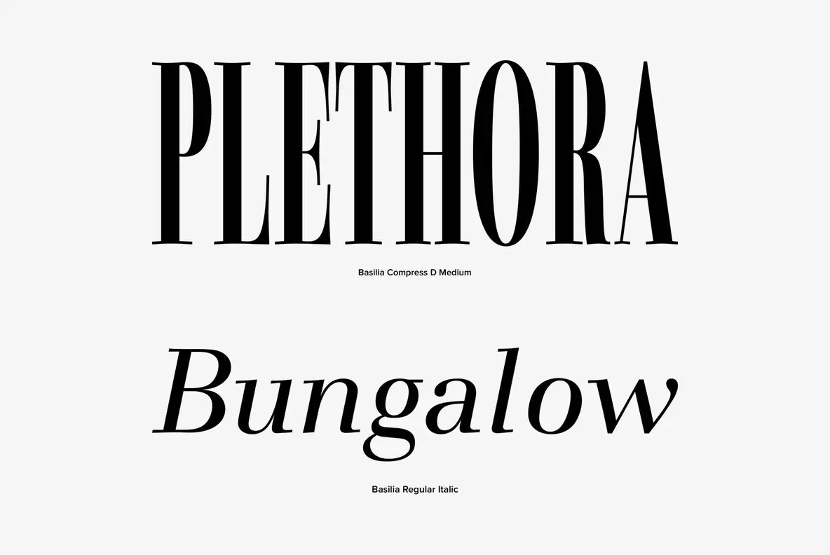 Basilia Font - YouWorkForThem