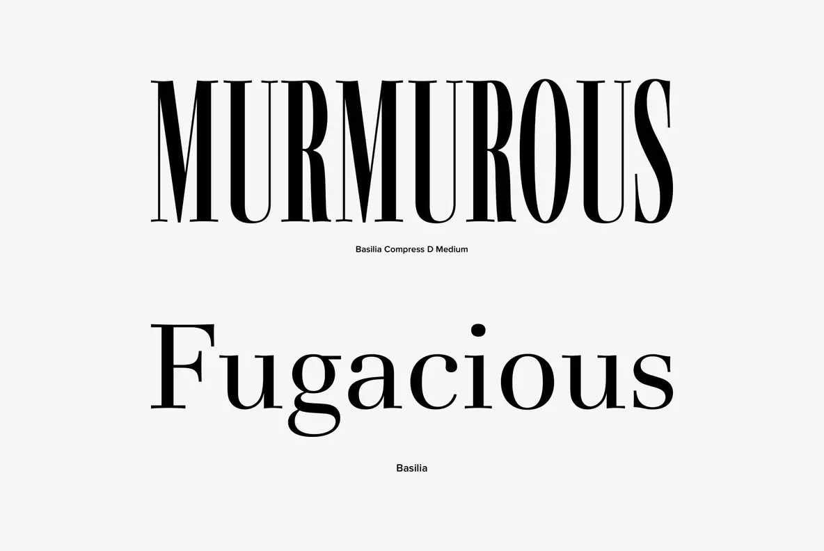 Basilia Font - YouWorkForThem