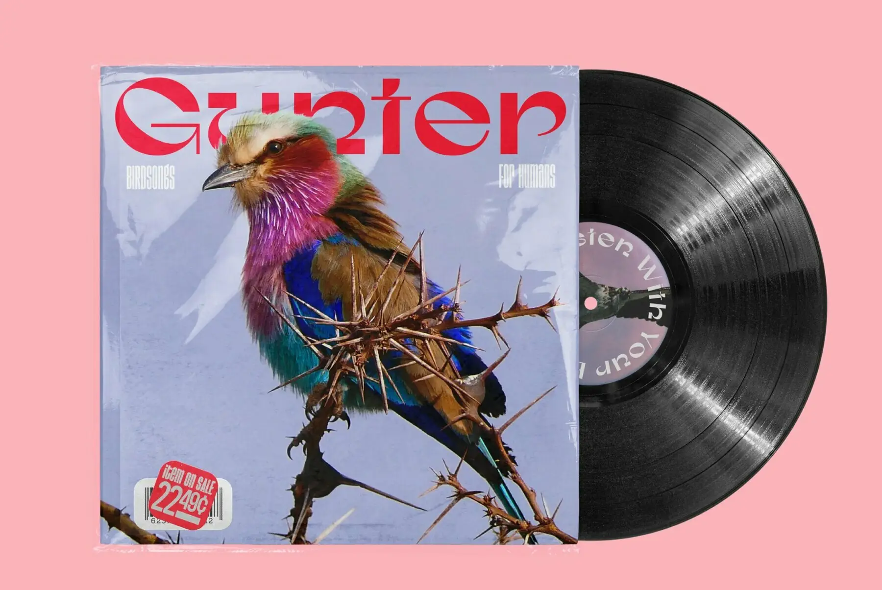 Gunter Font - YouWorkForThem