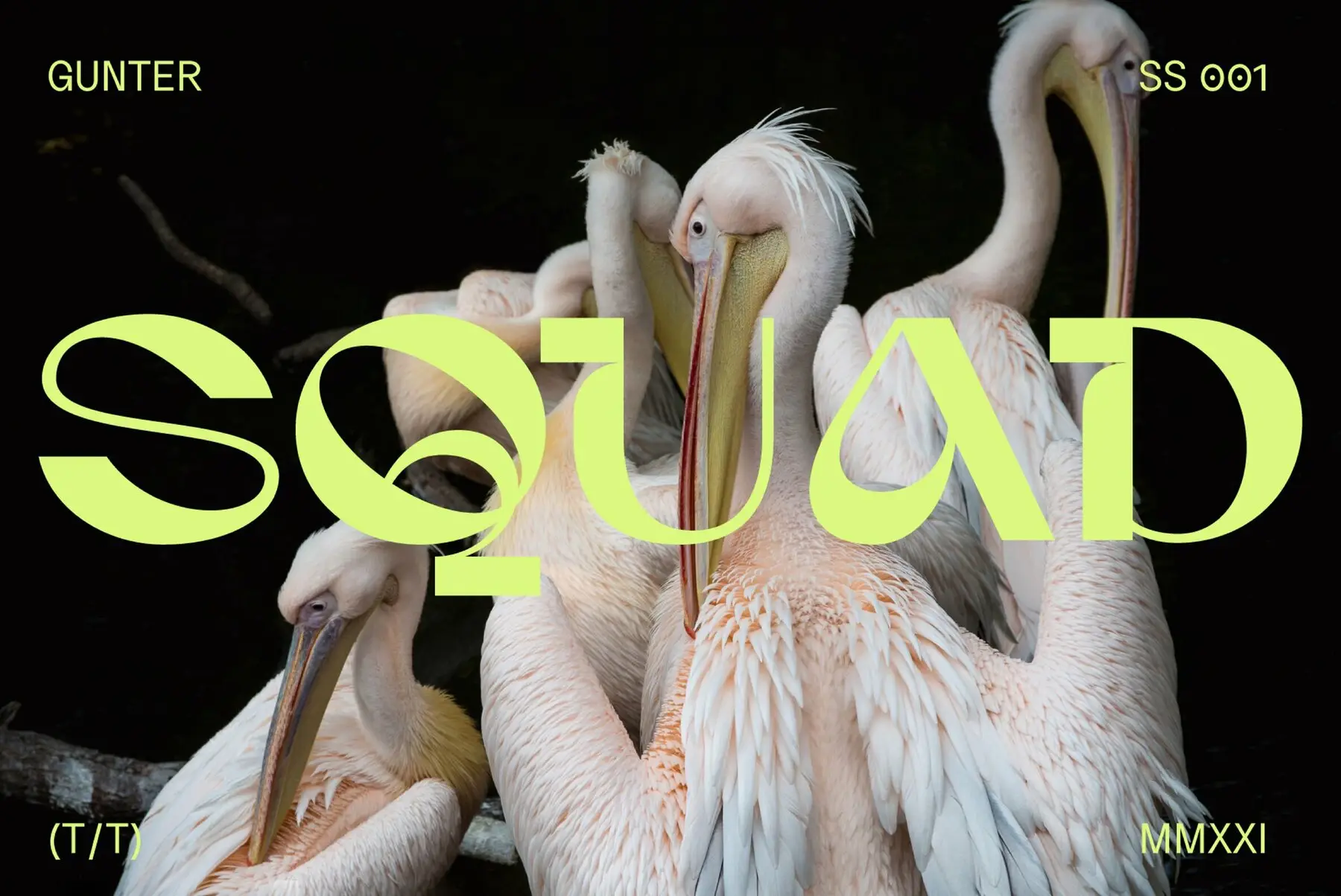 Gunter Font - YouWorkForThem