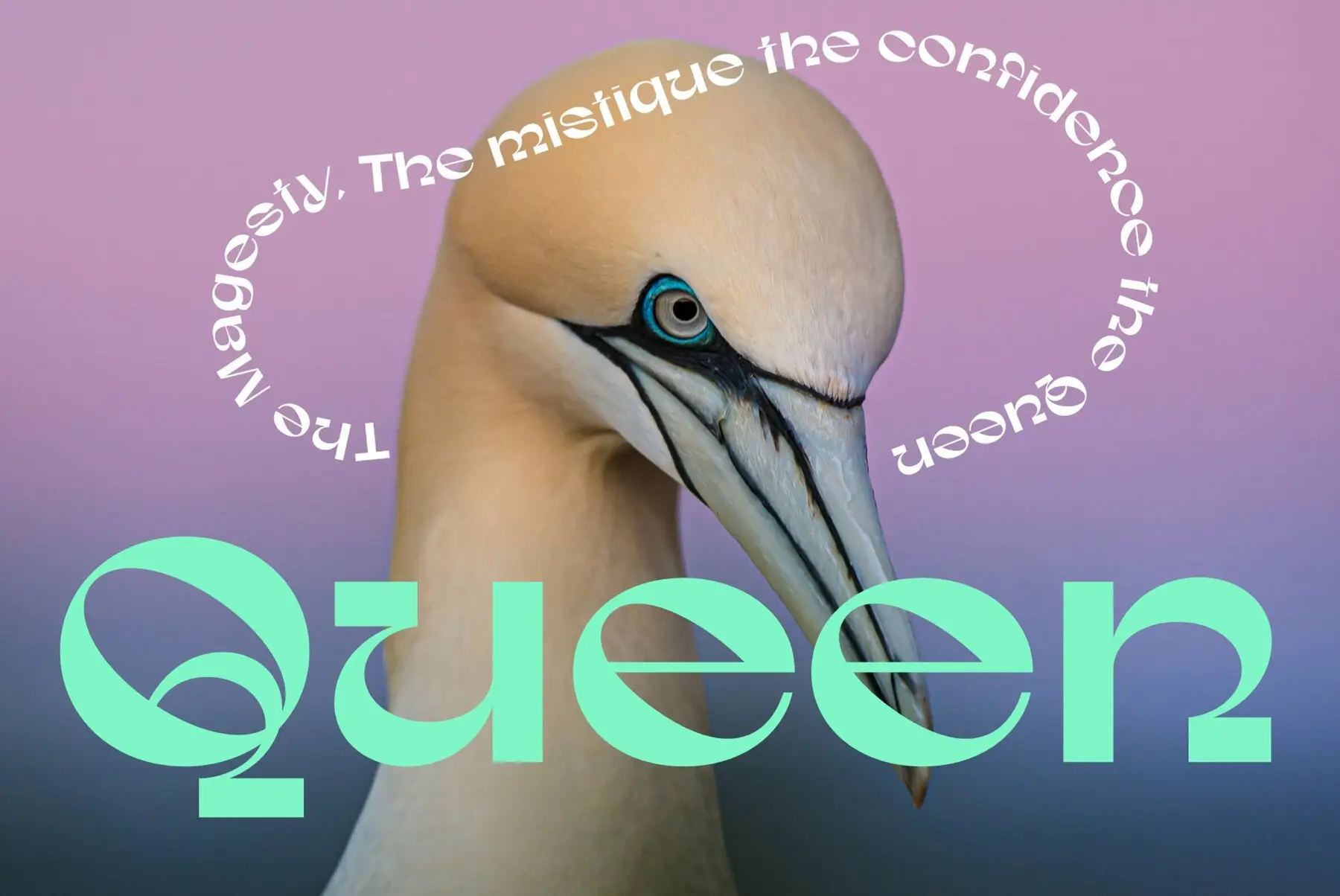 Gunter Font - YouWorkForThem