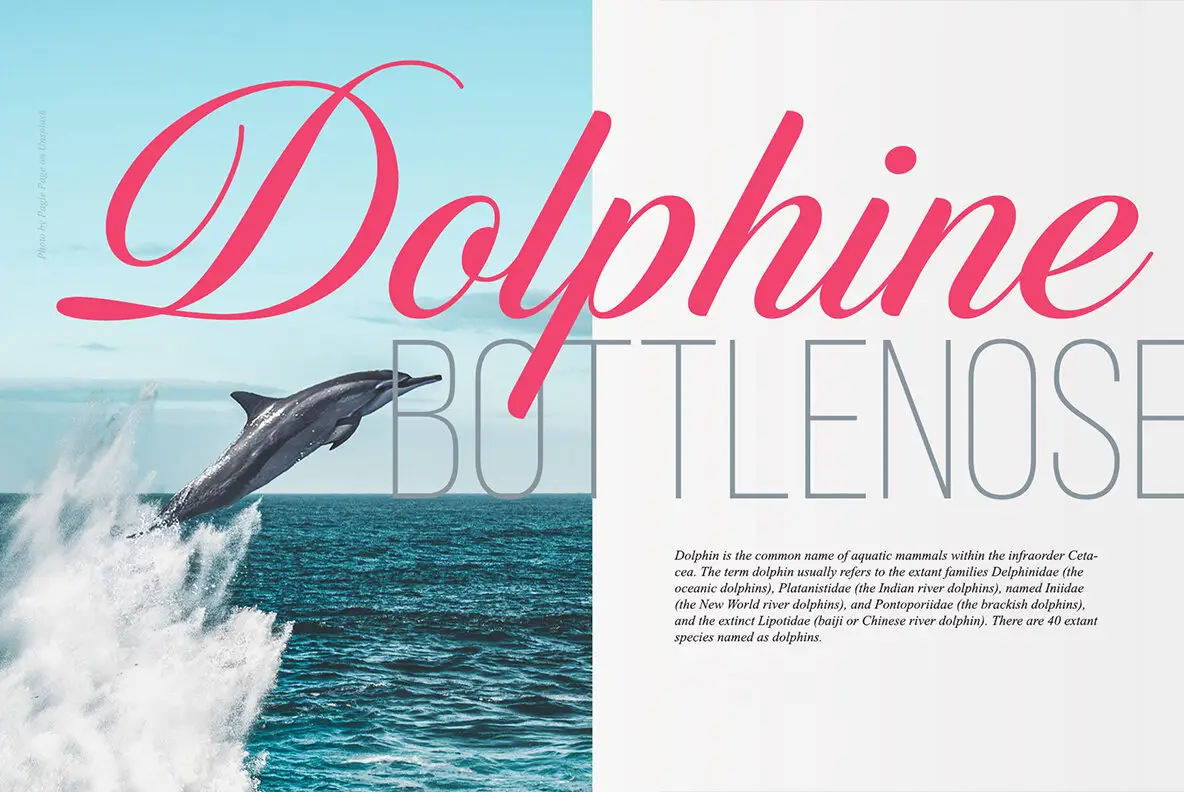 Candlescript Neue Basic Font - FontPath