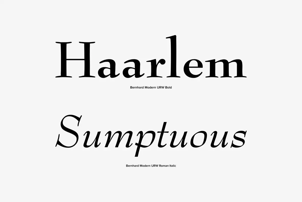Bernhard Modern Font - FontPath