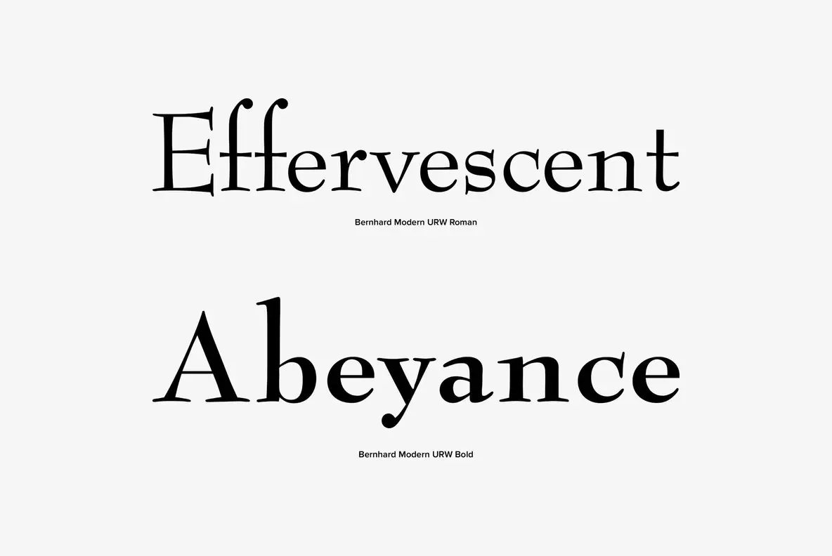 Bernhard Modern Font - FontPath