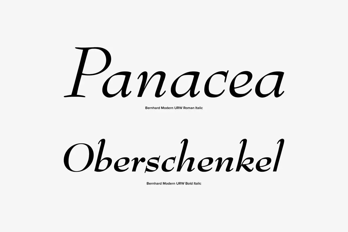 Bernhard Modern Font - YouWorkForThem