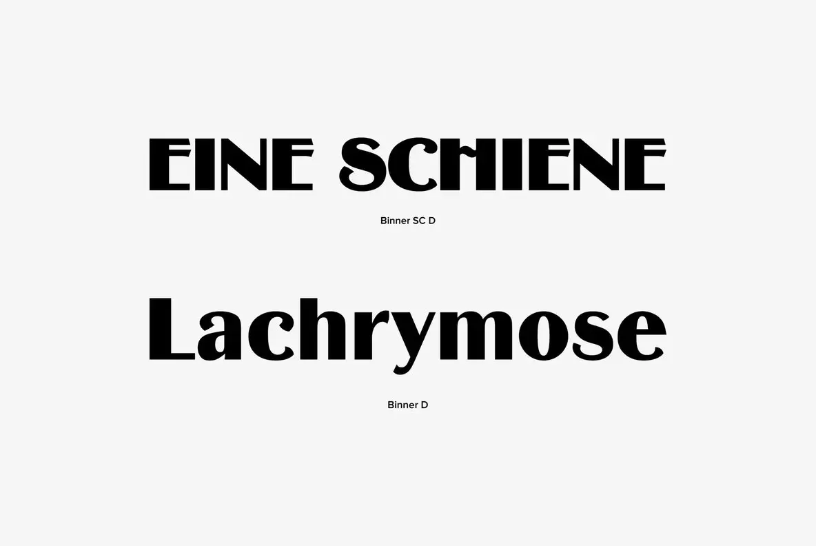 Binner Font - YouWorkForThem