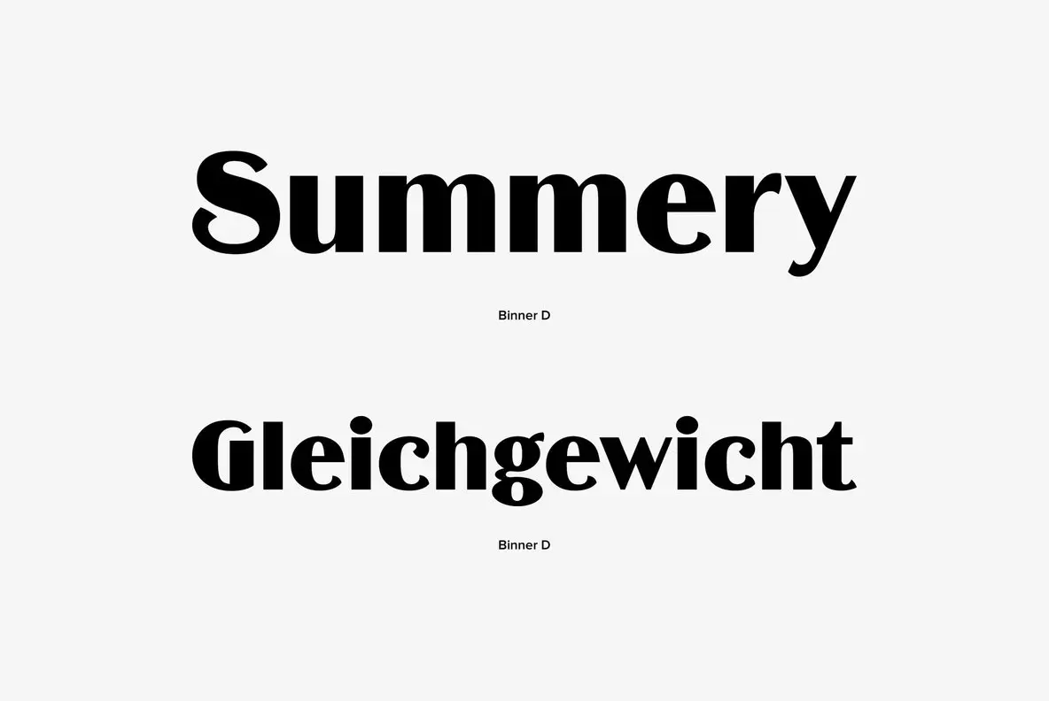 Binner Font - YouWorkForThem