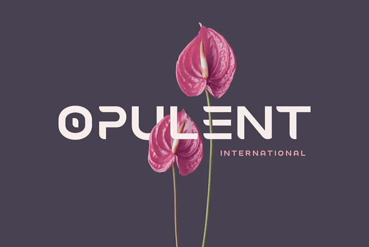 Adoria Font - YouWorkForThem