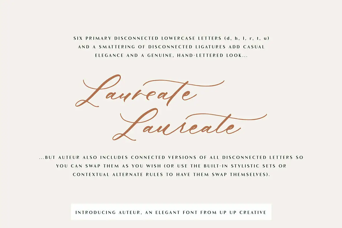 Auteur Font - FontPath