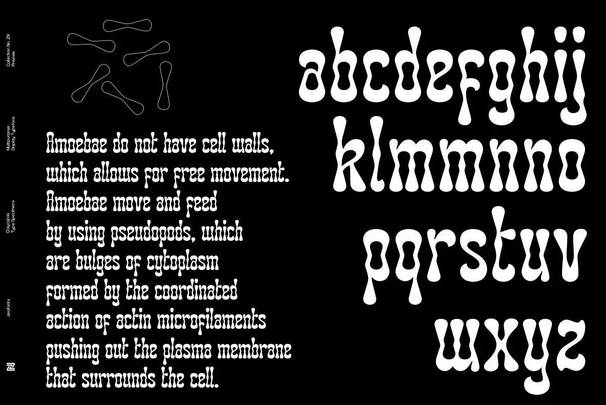 Claycozoa Font - YouWorkForThem