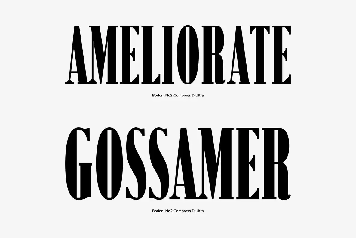Bodoni No 2 Font - FontPath
