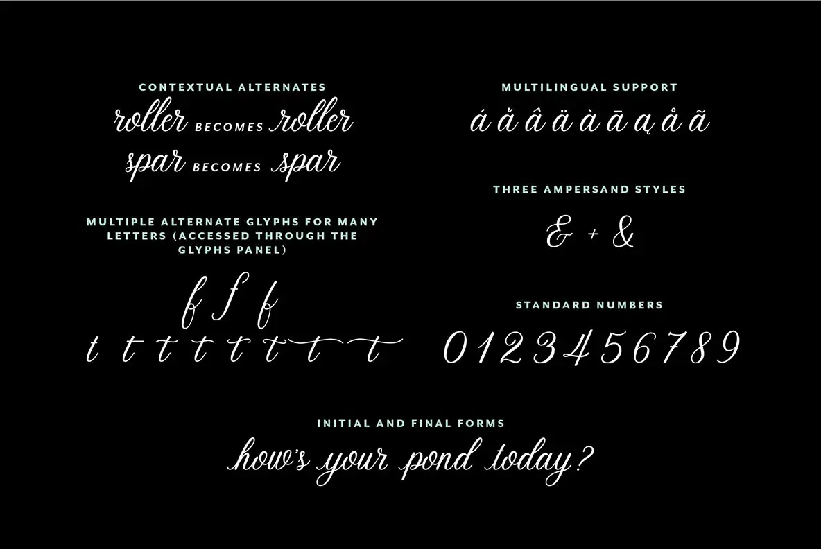 Stoic Font - FontPath