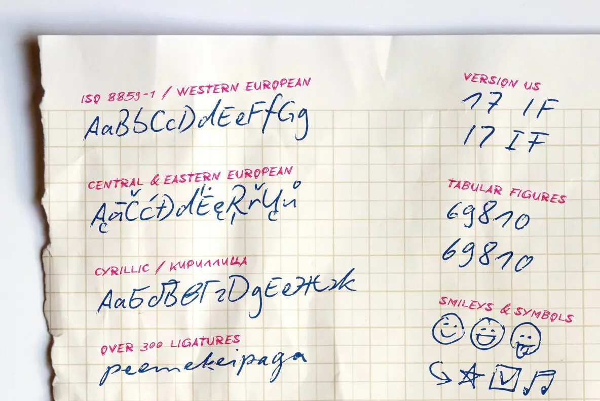 Biro Script Plus Font - YouWorkForThem