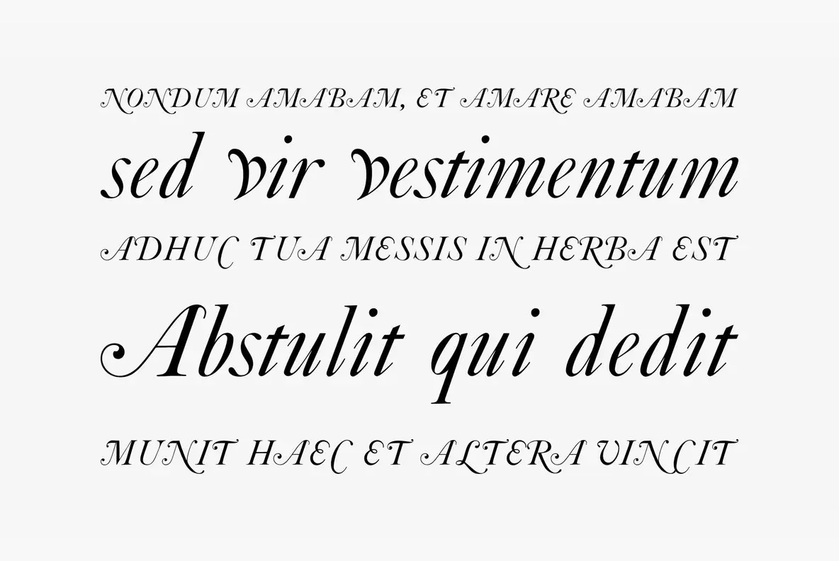 Caslon No 337 Font - FontPath