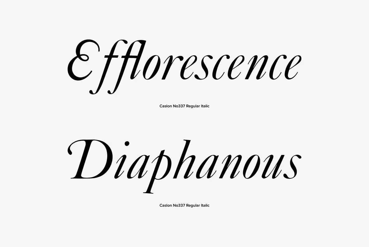 Caslon No 337 Font - YouWorkForThem