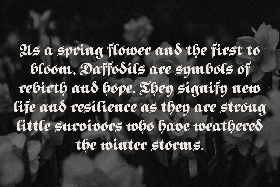 ED Daffodil Font - YouWorkForThem