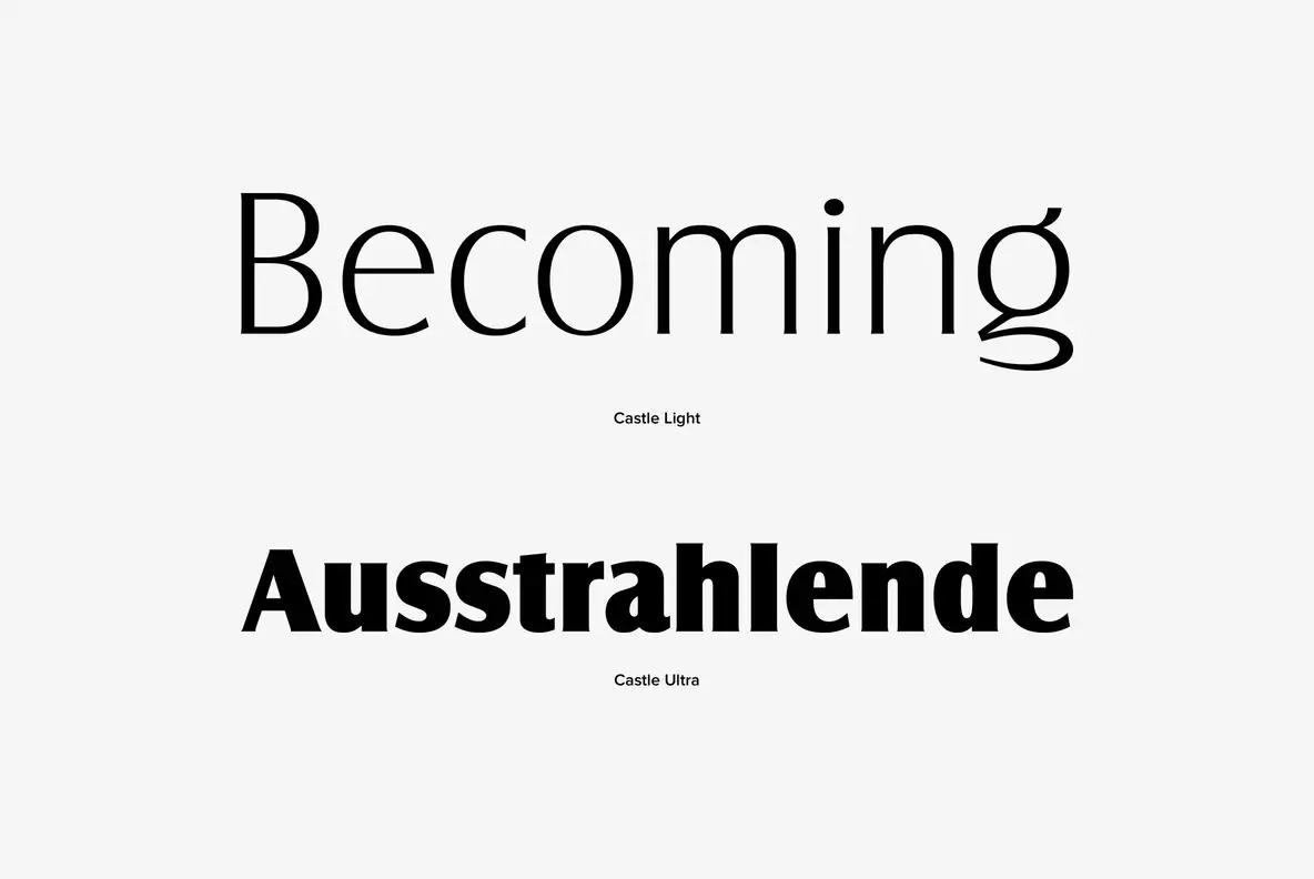 Castle Font - YouWorkForThem