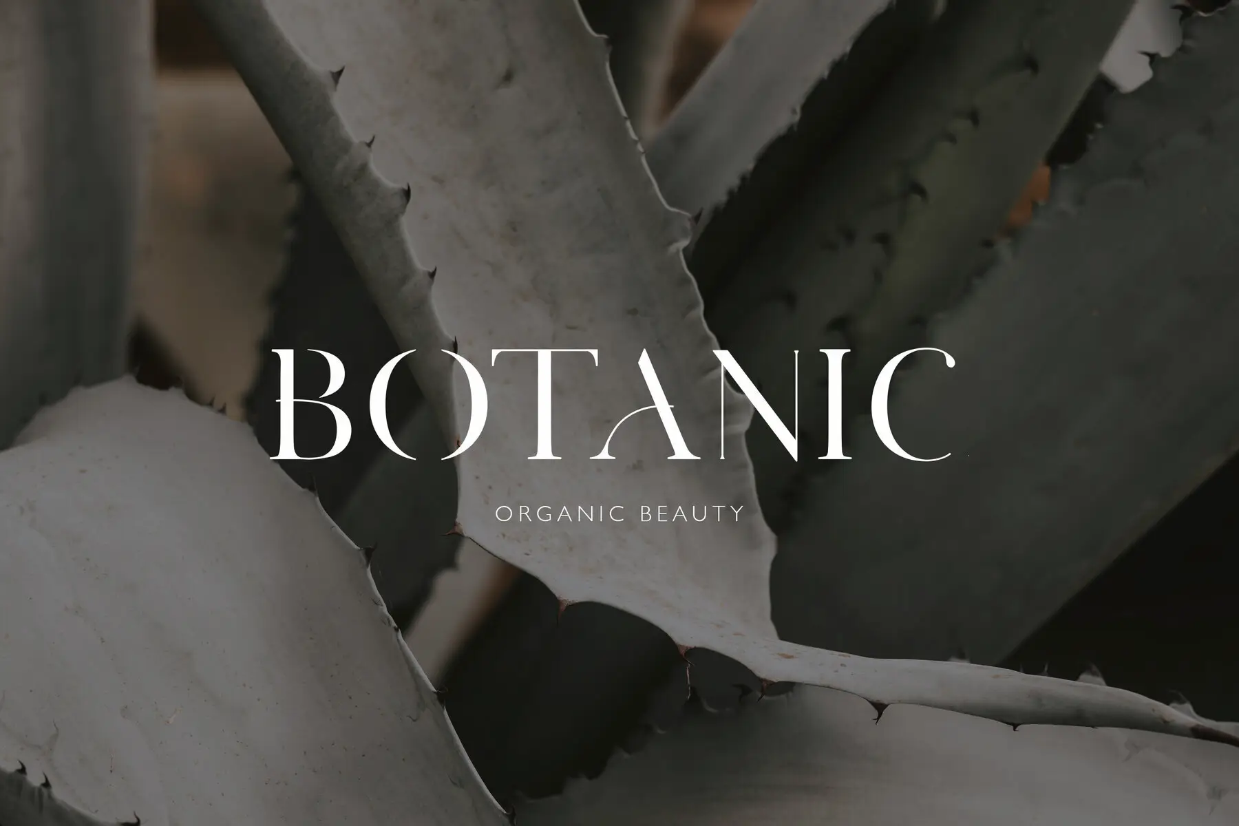 Adore Font - YouWorkForThem