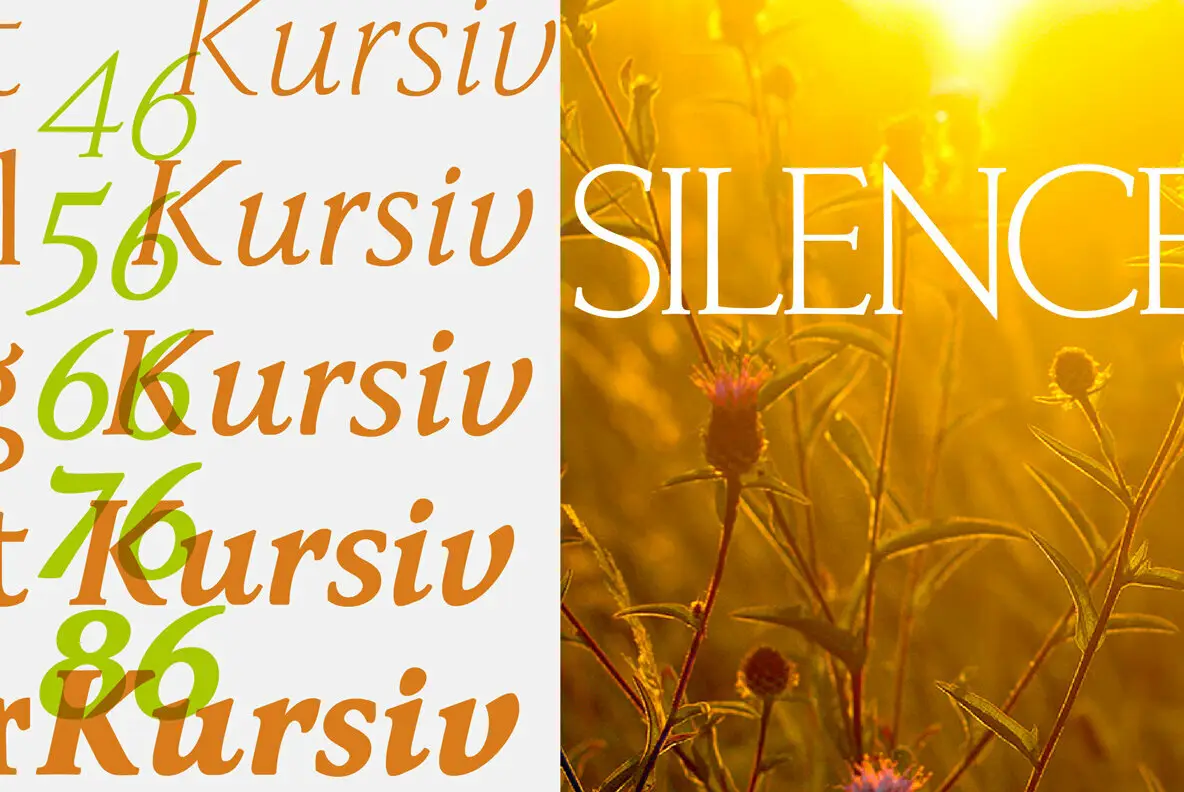 Faber Serif Pro Font - FontPath