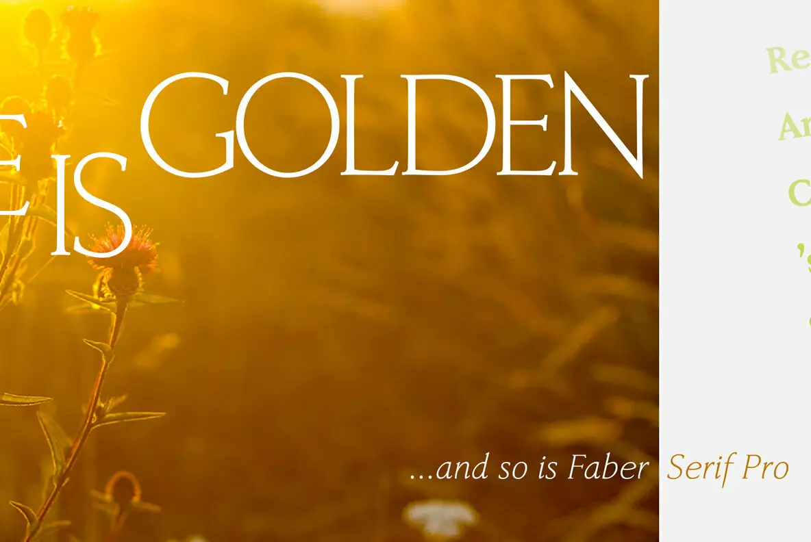 Faber Serif Pro Font - FontPath
