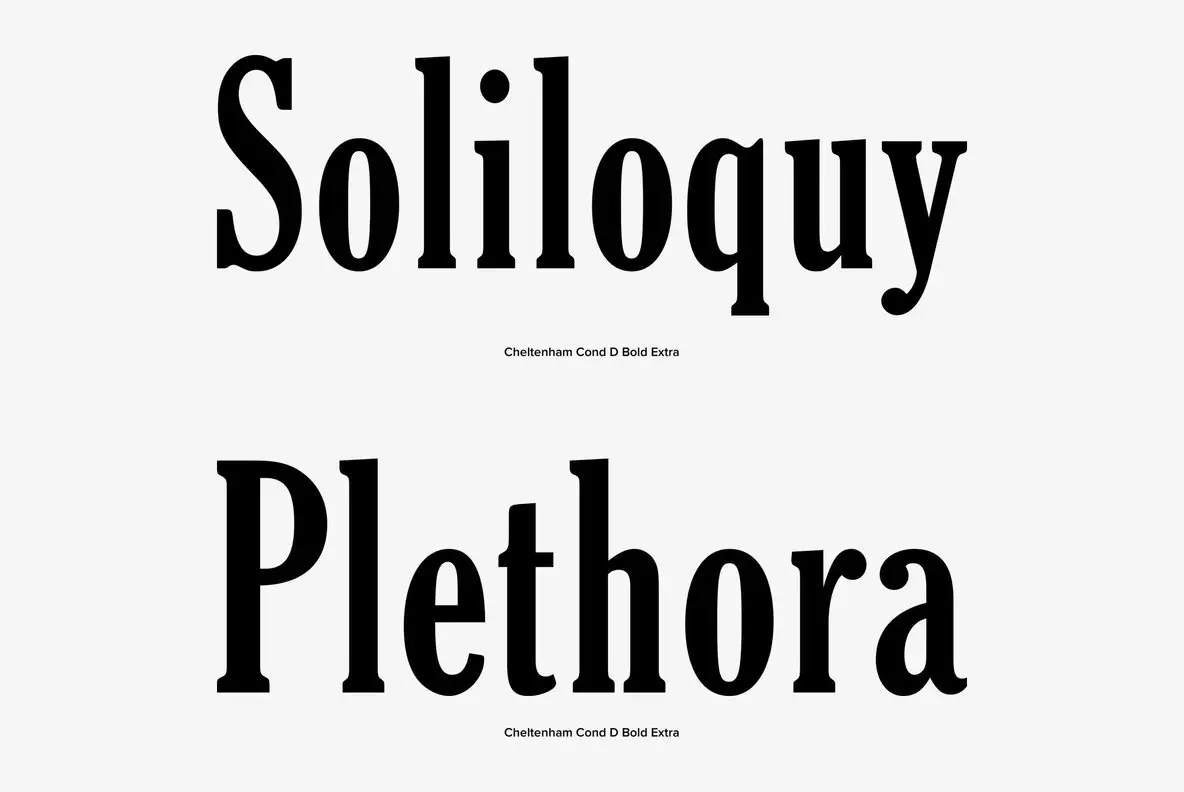 Cheltenham Font - YouWorkForThem