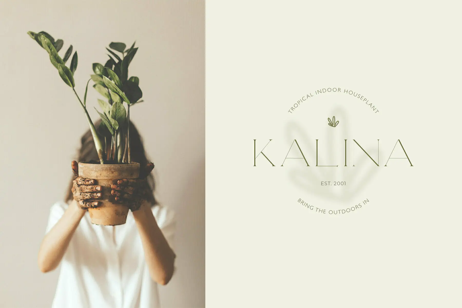 Rengard Font - YouWorkForThem