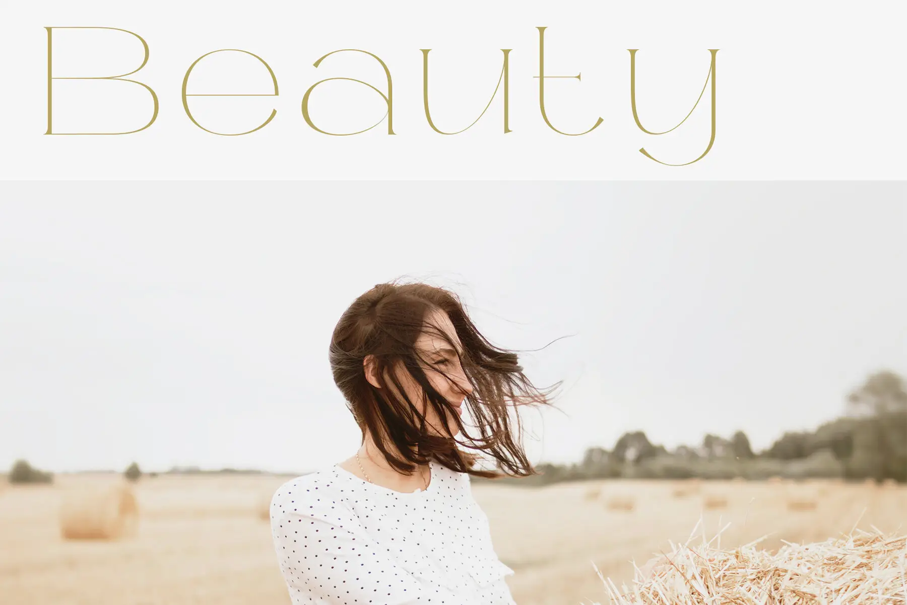 Rengard Font - YouWorkForThem