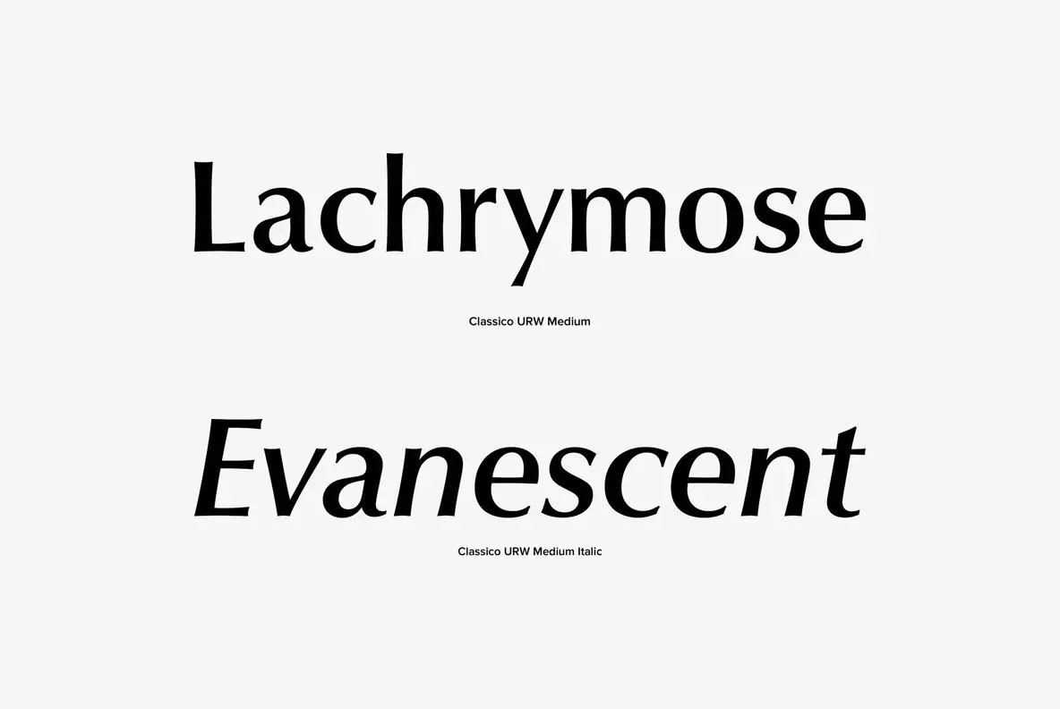 Classico Font - YouWorkForThem