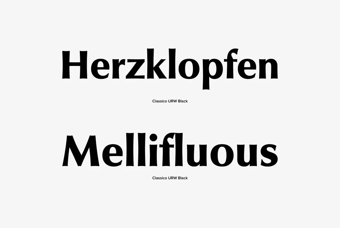 Classico Font - YouWorkForThem