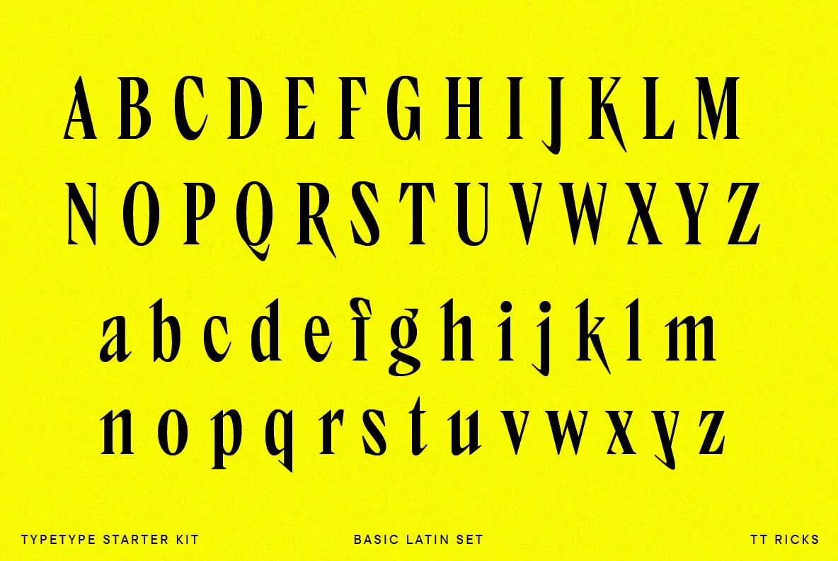 TT Ricks Font - YouWorkForThem