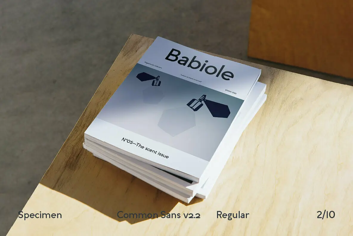 Common Sans Font - YouWorkForThem