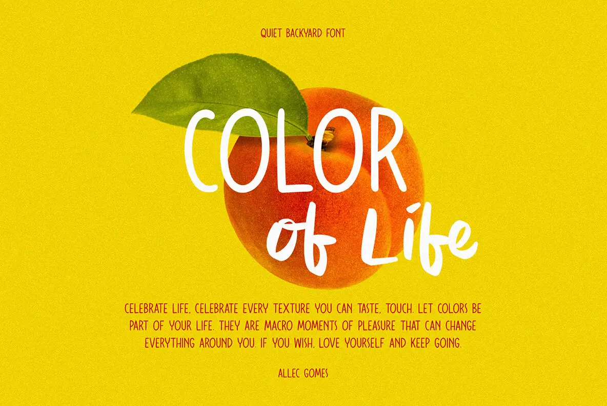 Quiet Backyard Font Duo - YouWorkForThem