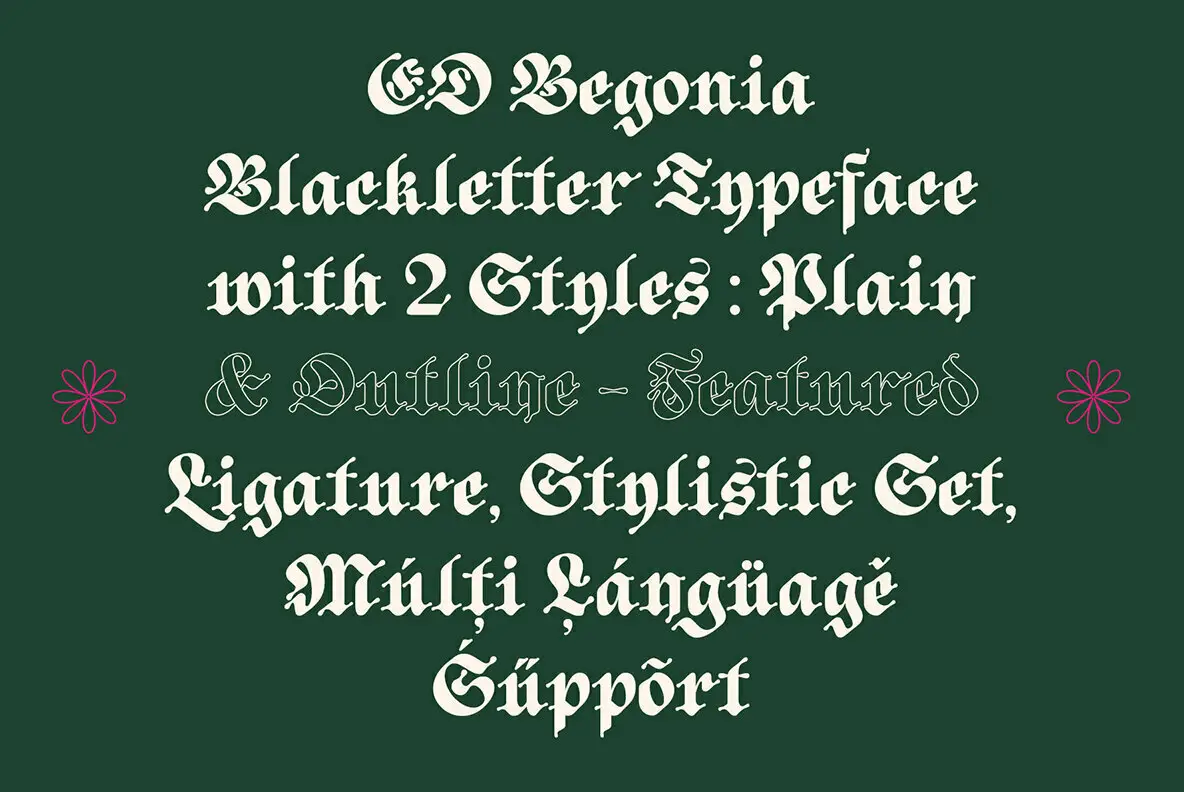 ED Begonia Font - FontPath