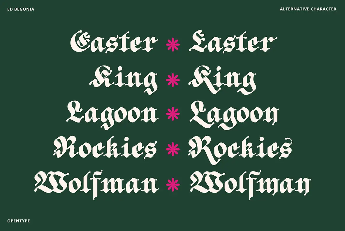 ED Begonia Font - YouWorkForThem