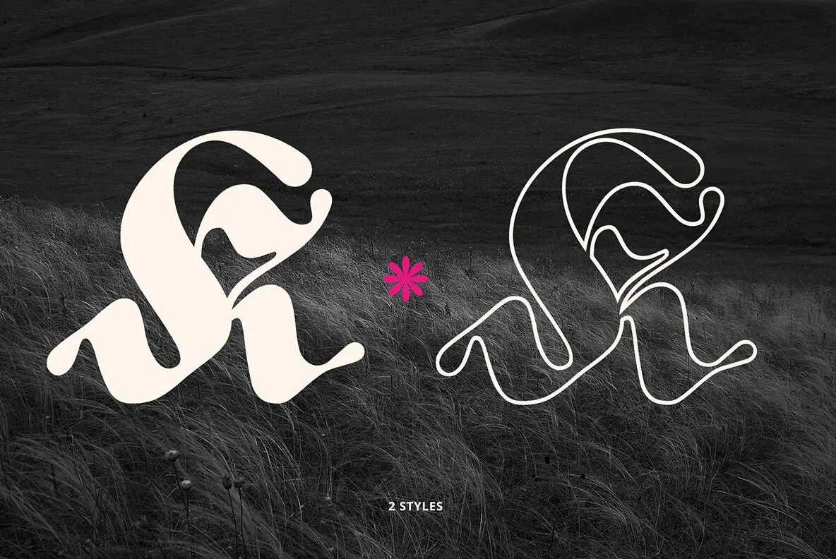 ED Begonia Font - YouWorkForThem