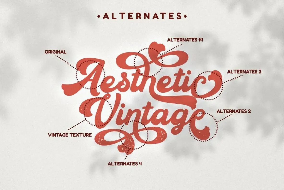 Aesthetic Vintage Font - YouWorkForThem