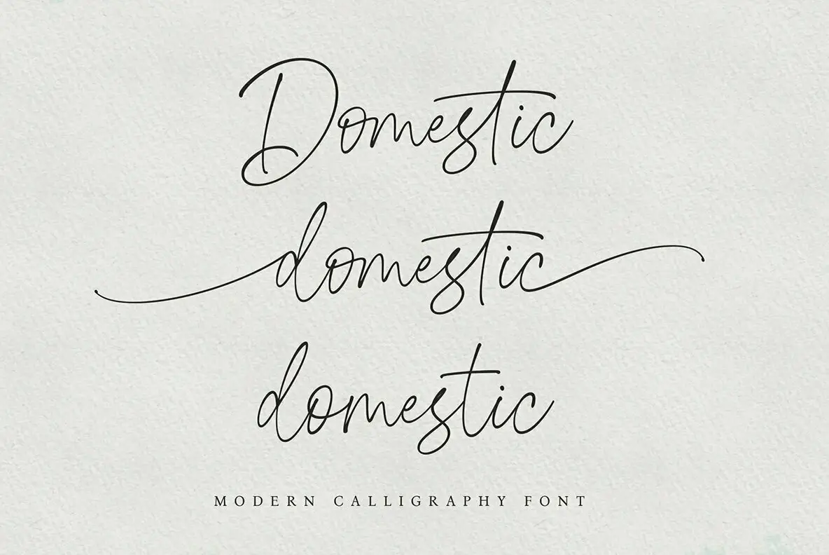 Domestic Script Font - FontPath