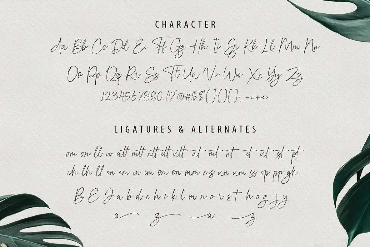 Domestic Script Font - FontPath