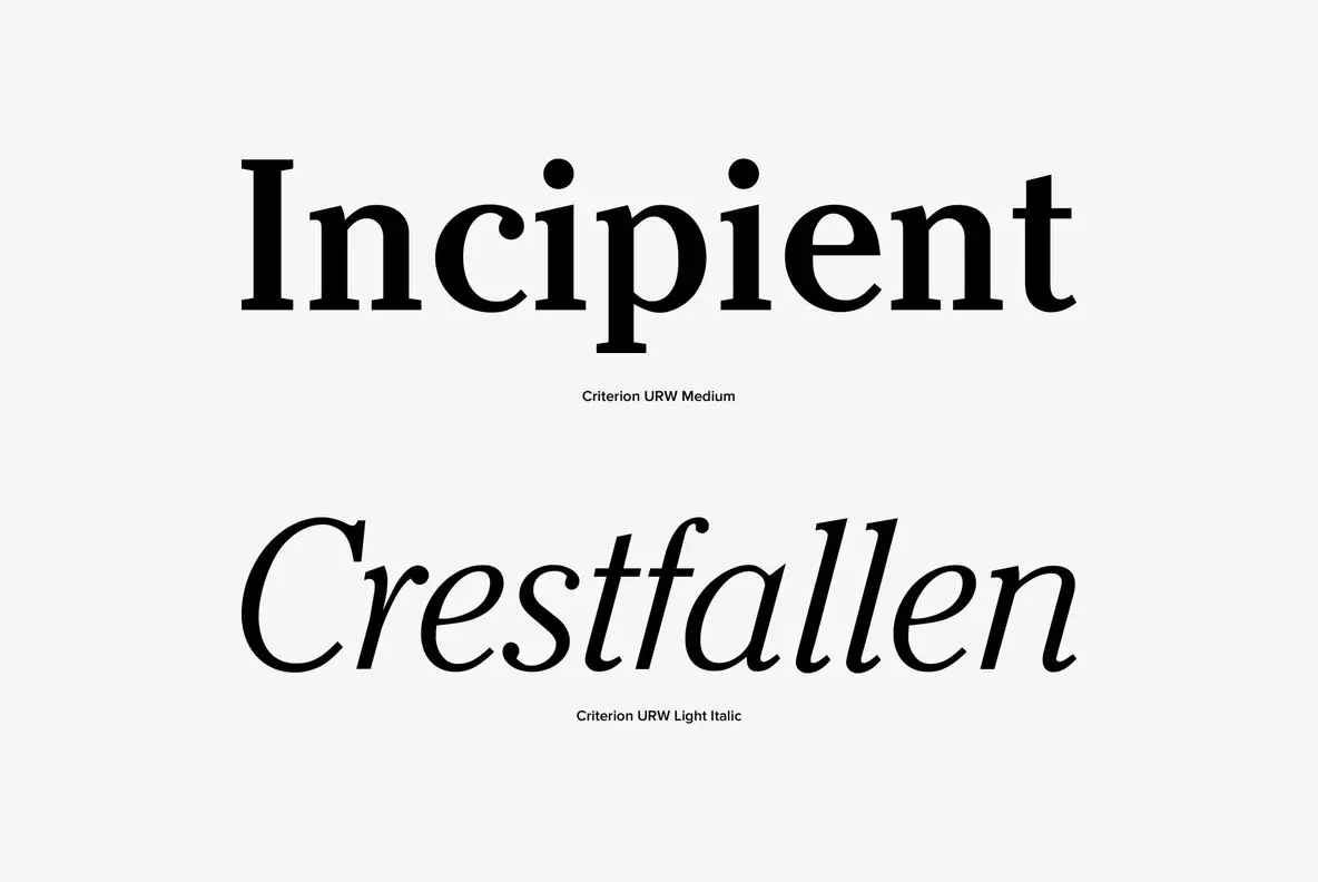Criterion Font - YouWorkForThem