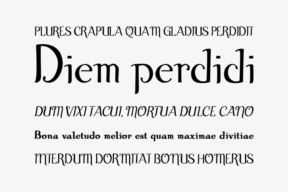 Curly Lady Font - YouWorkForThem