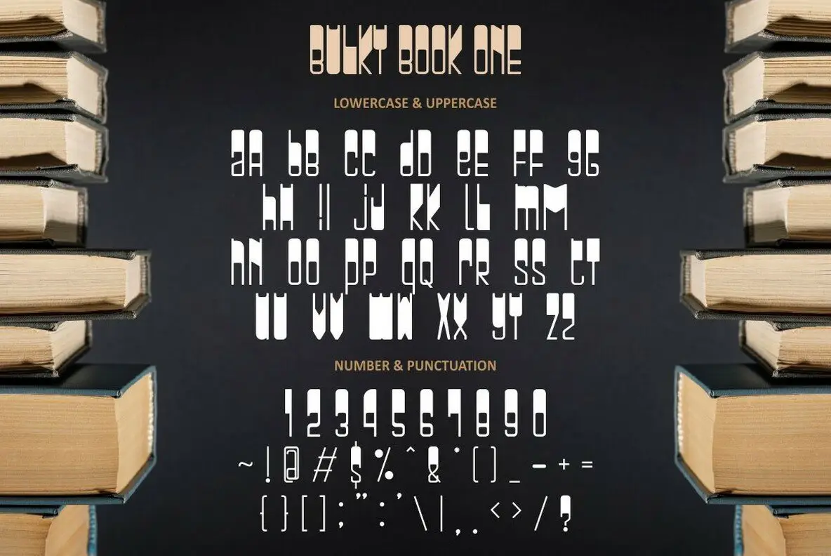 Bulky Book Font - YouWorkForThem