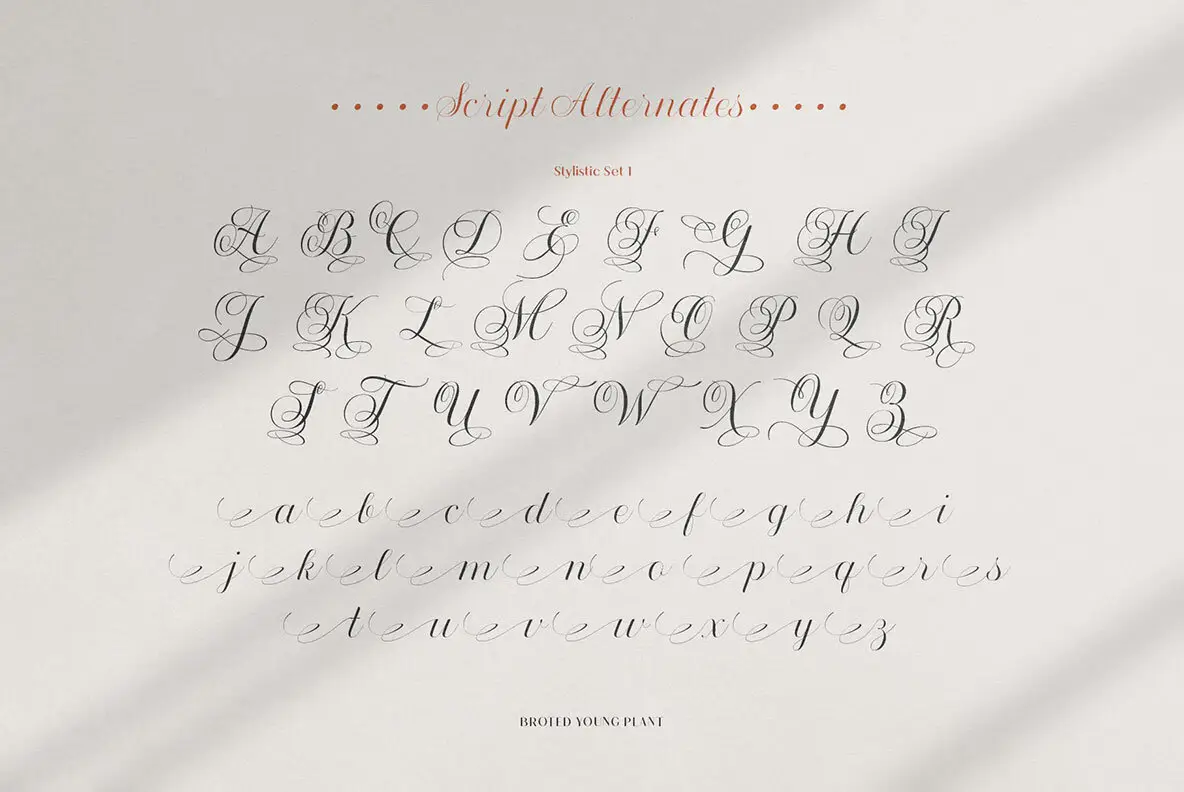 Broted Young Plant Font Duo Font - FontPath