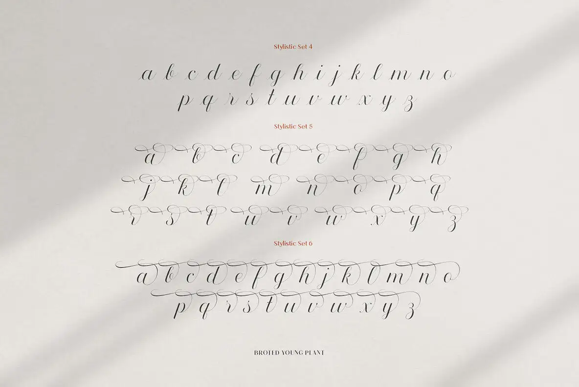 Broted Young Plant Font Duo Font - FontPath