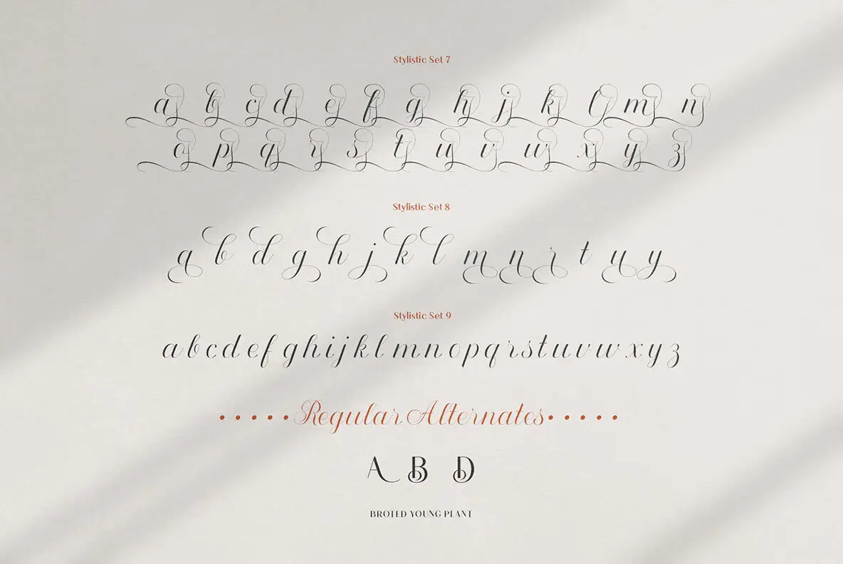 Broted Young Plant Font Duo Font - FontPath
